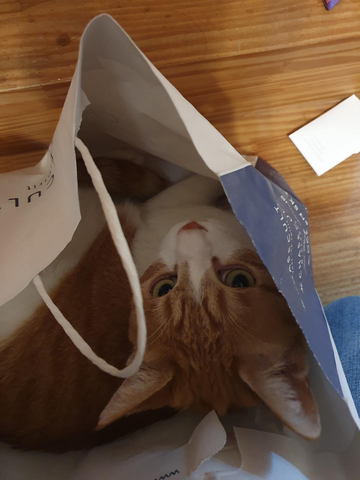 devtools-sources | 워게임 | Dreamhack