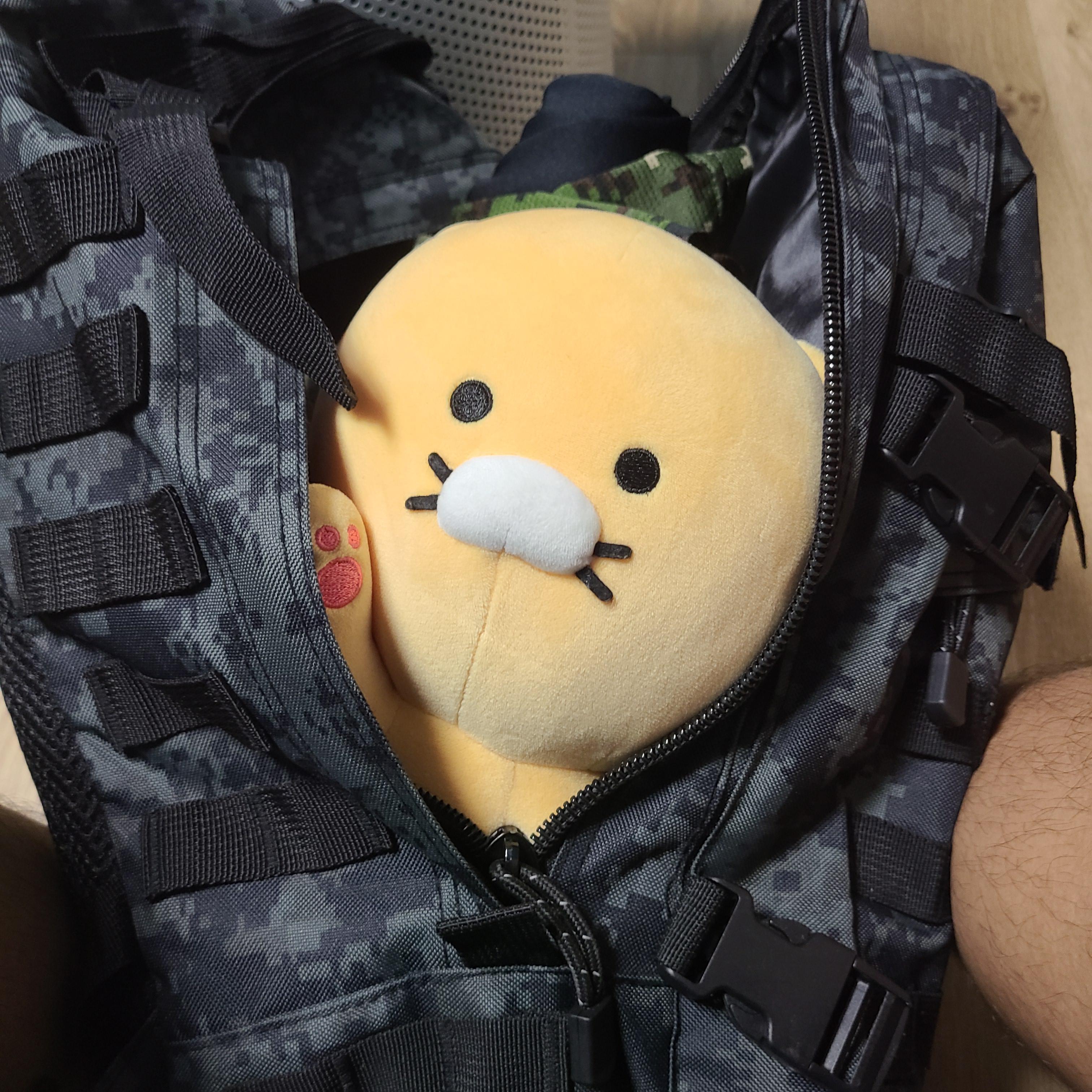 Simple Patch Me | 워게임 | Dreamhack