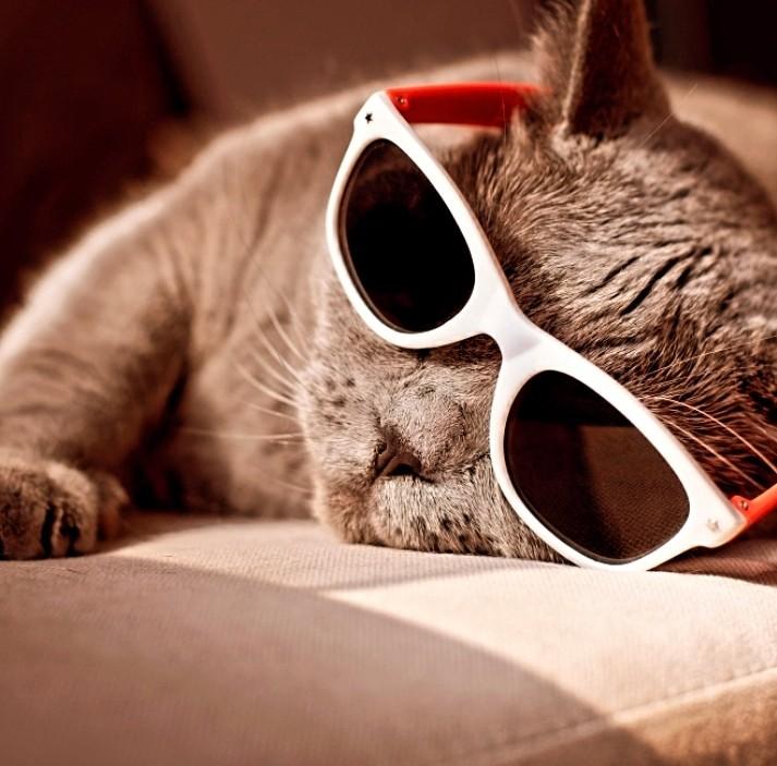 basic_exploitation_000 | 워게임 | Dreamhack | 워게임 | Dreamhack