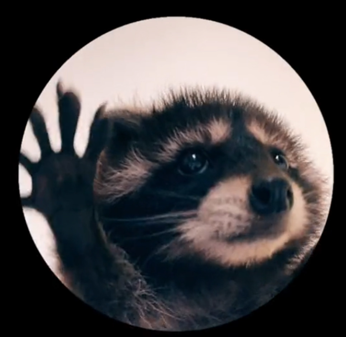 sleepingshark | 워게임 | Dreamhack | 워게임 | Dreamhack